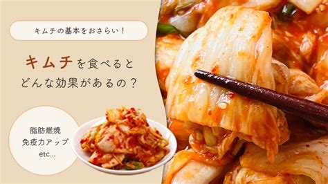 人気の発酵食品のキムチについて徹底解説！健康に良いと言われるキムチについて理解を深め、食生活の改善に役立てよう