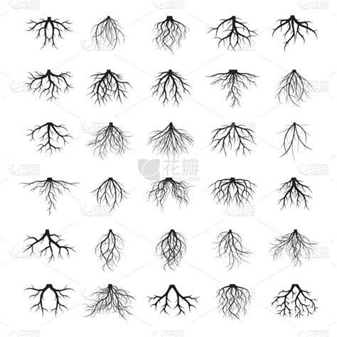 根部黑色巨大的植物表皮树干波兰枝形状无人绘画插图素材 花瓣网