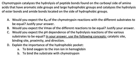 Solved Chymotrypsin Catalyzes The Hydrolysis Of Peptide
