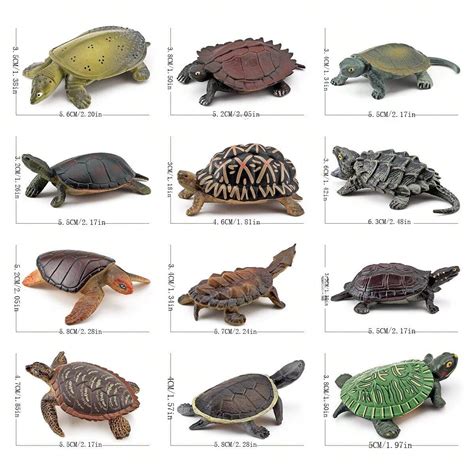 Simulation Amphibian Reptile Turtle Model Real Crocodile Turtle Grass