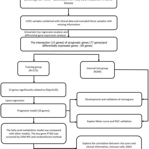 Comprehensive Prognostic Value Analysis Framework Of Fatty Acid