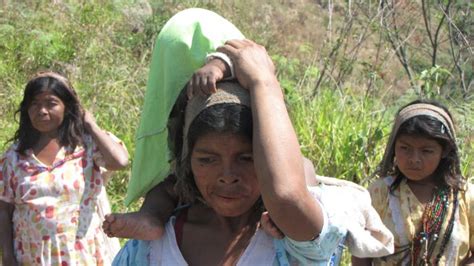 Directora Del Icbf Dice Que La Muerte De Cinco Niños Indígenas Del