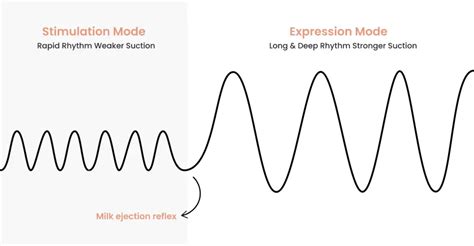 What Is Two Phase Expression Pandylane
