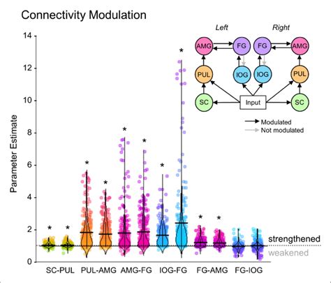 The Strength Of Individual Connections From The Winning Dynamic Causal
