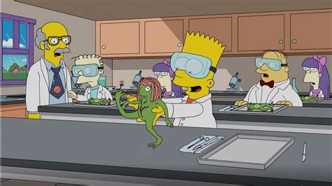 Los Simpson Bart Tiene Una Rana Rasta Capitulo 17 Temporada 28 Youtube