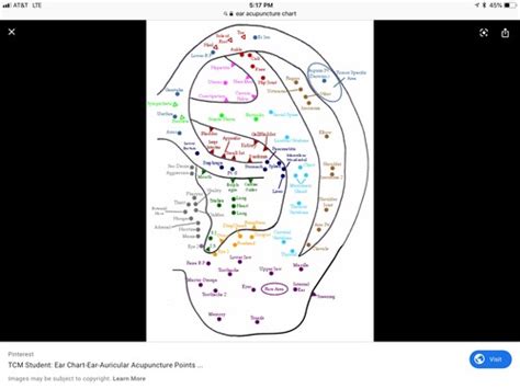 Acupuncture Free Test April 2020 Flashcards Quizlet