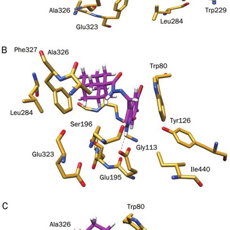Putative Binding Mode Of Selected Adamantyl Derivatives According To
