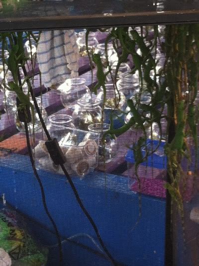 This Is Awful So Let Me Explain Whats Going On Tumbex