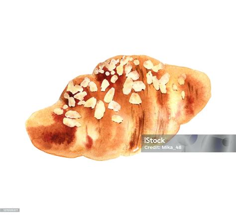 흰색 배경에 수채화 크루아상 빵에 대한 스톡 벡터 아트 및 기타 이미지 빵 갈색 단일 객체 Istock