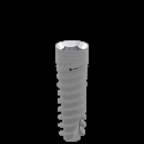 Uh8 Internal Hex Pureandporous Dental Implant Uniqa Dental