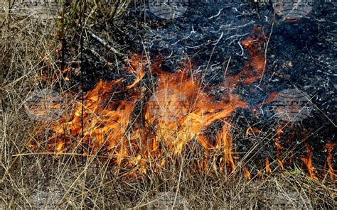 Временно е ограничено движението по пътя София Русе в района на Плевен заради пожар Утро
