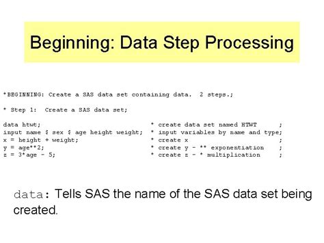 Sas Programming Introduction Program Window Sas Statements Go