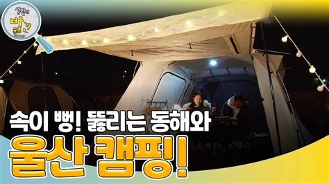 오리 배와 함께 동굴 수로 탐험부터 썰매 맛집 속이 뻥 뚫리는 동해까지 ＜울산 캠핑＞ 생활의 발견 Kbs