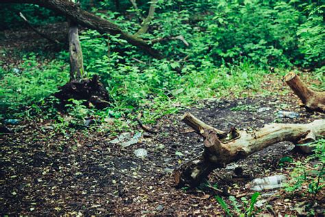 식물 들 사이 숲에 쓰레기 더미 사방에 자연에 독성 플라스틱 식물 중 공원에서 쓰레기 더미 오염 된 토양 환경 오염 생태 학적 문제 어디서나 쓰레기를 던져 가방에 대한 스톡