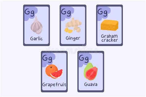 Guava Flashcard Stock Illustrations 9 Guava Flashcard Stock