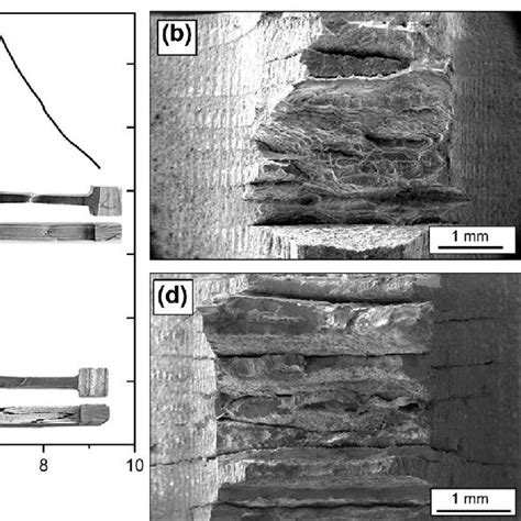 Representative Stress Strain Curves Obtained For Samples After