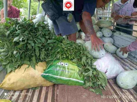 ရွှေဘိုရှိ စစ်ဘေးရှောင်များအတွက် Sandc ပရဟိတ စိုက်ခင်းထွက် အသီးအနှံများ လှူဒါန်း Khit Thit Media