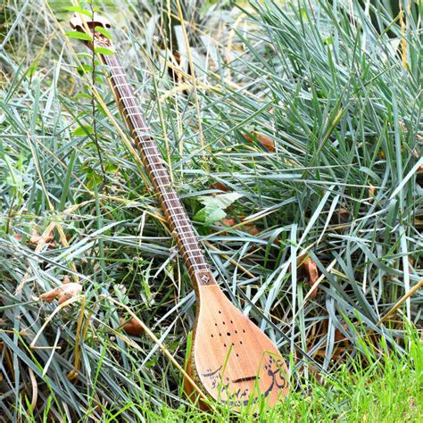 Expert Persian Setar By Iransaz Model Shahnavaz Shopipersia