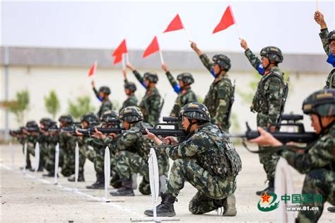 正面靶、側頭靶，跪姿、臥姿武警特戰隊員這樣錘鍊「一槍斃敵」硬功 壹讀
