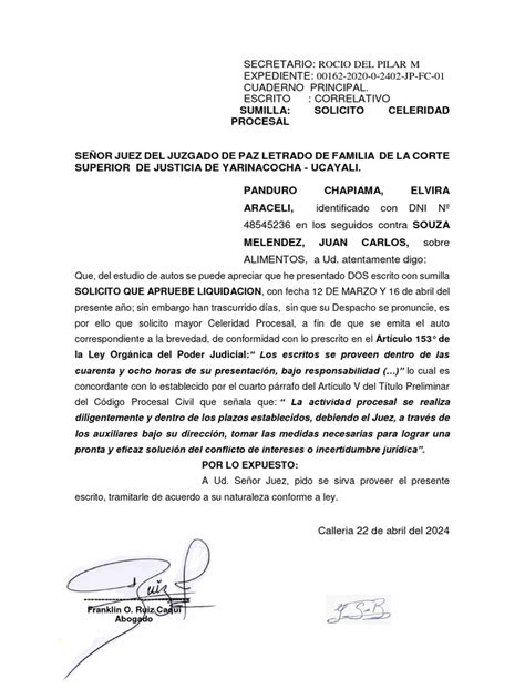 Celeridad Procesal Pdf Derecho