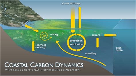 Carbon Cycle Ocean Acidification