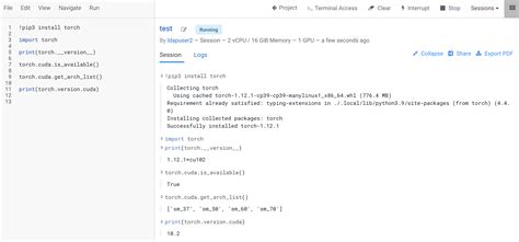 Pytorch Dennislee