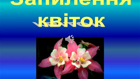 Запилення квіток 6 Youtube