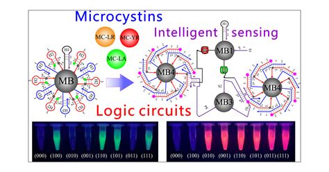 Logic Circuits For Intelligent Microcystin Monitoring Based On Aptamer Recognition And Toehold