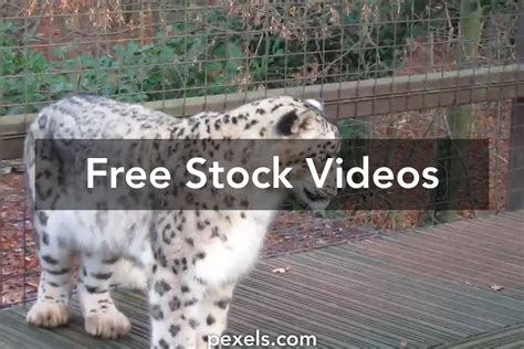 Iucn Red List Vulnerable Species Videos Download The Best Free 4k