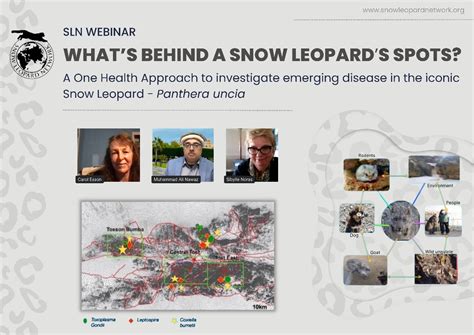 Whats Behind A Snow Leopards Spots A One Health Approach To