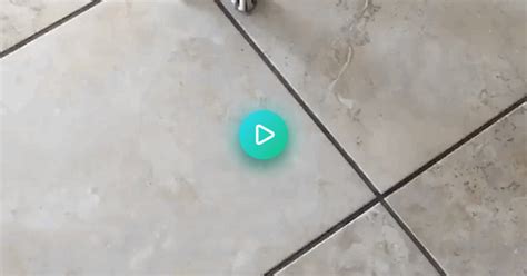 I Formally Request A New Loading Icon  On Imgur