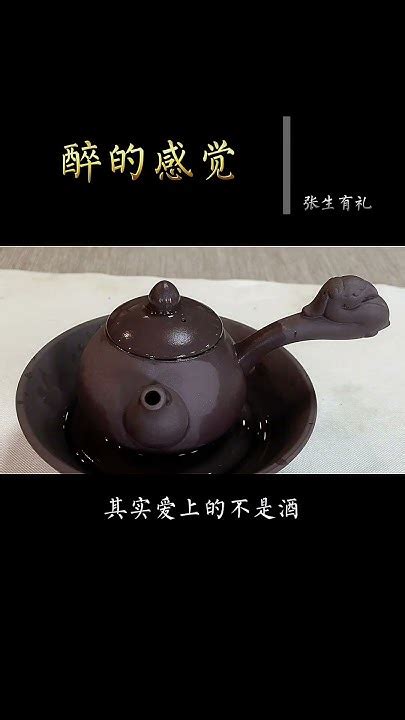 我其實不喜歡酒的味道，但我喜歡醉的感覺，將心事壹點點融入酒中，壹切盡在酒裏，我幹了，妳隨意，朋友！ Youtube