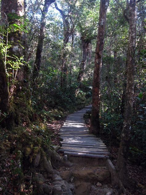 How To Climb Mount Kinabalu In 1 Day Sabah Borneo