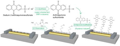 Surface Modification Of Sinw Fets For H 2 O 2 And Ph Sensing