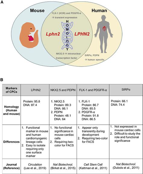 A Schematic Illustration And Summary Indicating The Applicability Of Download Scientific