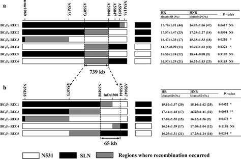 Fine Mapping Of Qkrn504 A The Genotypes And Phenotypes Of Different Download Scientific