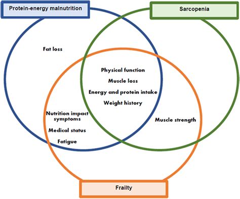 Frailty In Older Adults