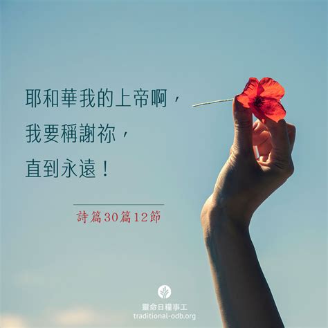 Share Ctodb