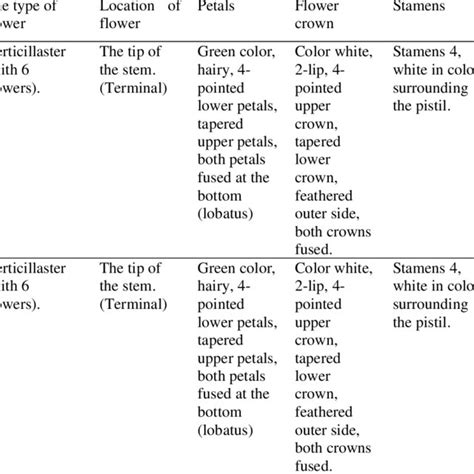 Qualitative Character Of Ocimum Basilicum L Flower Ocb Ocimum Download Scientific Diagram