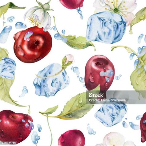 달콤한 신맛 체리 선홍색 물 얼음 조각 튀는 방울 수채화 손으로 그린 빨간 베리 잎 흰 꽃 완벽 한 패턴 타일 그림입니다