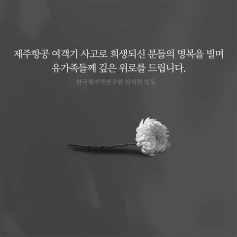파동이 한국원자력연구원 눈이 펑펑 ☃️ 내리는 겨울 만약 딱 한 가지 간식만 먹을 수 있다면 뜨끈한 국물에 어묵이냐~ ♨️ 따뜻하고 달콤한 붕어빵이냐~~🐟 파동