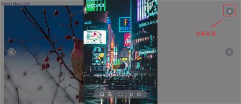 Bug Report The Picture Preview Function Is Optimized And Appendtobody Is Supported As A