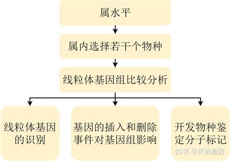 植物线粒体研究专题第三章—泛植物线粒体基因组研究 知乎