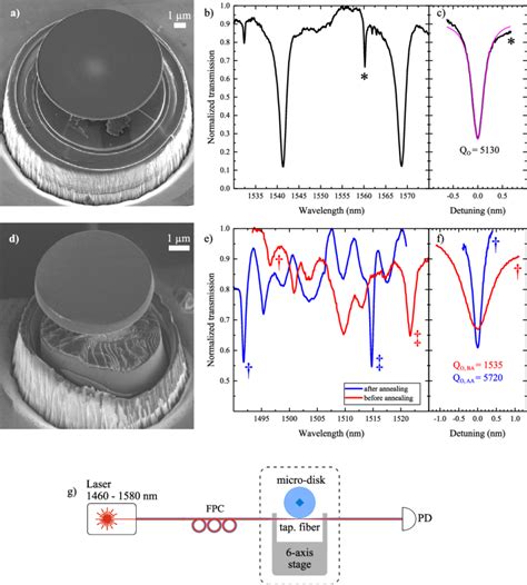 A Sem Recording Of A Diamond Micro Disk Diameter 10 5 µm Thickness