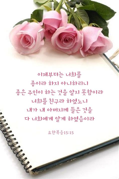 이제부터는 너희를 성경 성경구절 성경 성경 구절 예수님의 사랑