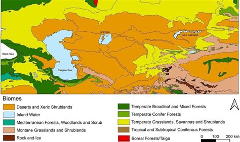 Neanderthal Migration Model Hints At Hidden Archaeology Sites In Iran