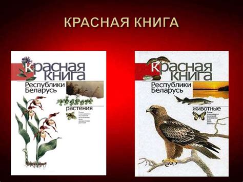 Красная книга Республики Беларусь презентация онлайн