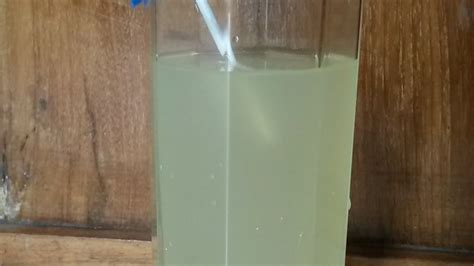 Make Delicious Spicy Starfruit Juice Diy Food And Drinks Guidecentral