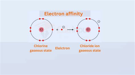 Octet Rule Definition Explanation Examples Exceptions