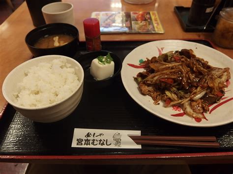 宮本むなしが好きすぎて何も見えない